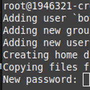 Установка бота на Linux-сервер — Шаг 1 — Stepik