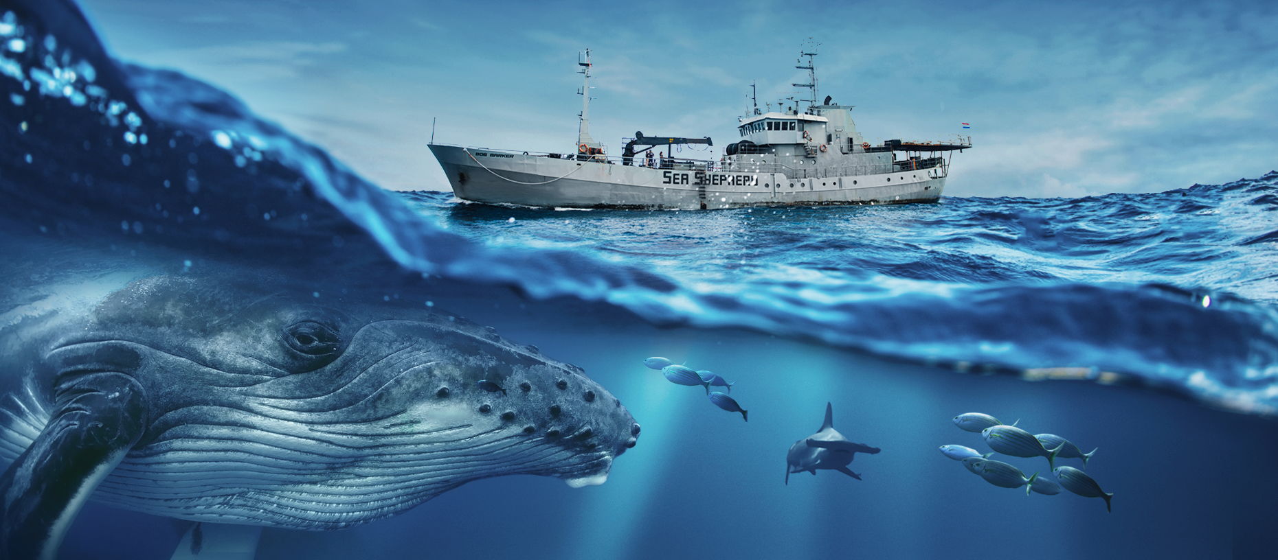 Sea Shepherd Global
