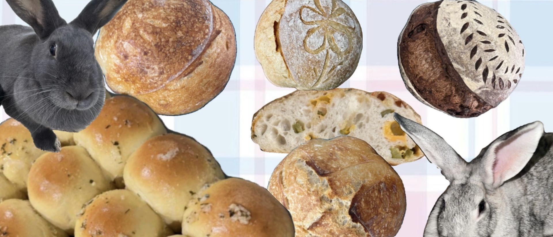 Rabbit Run Bakery
