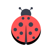 Работа с git и bash — Шаг 1 — Stepik