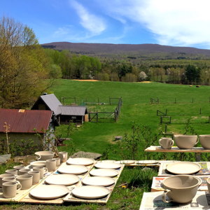Robin Badger Pottery