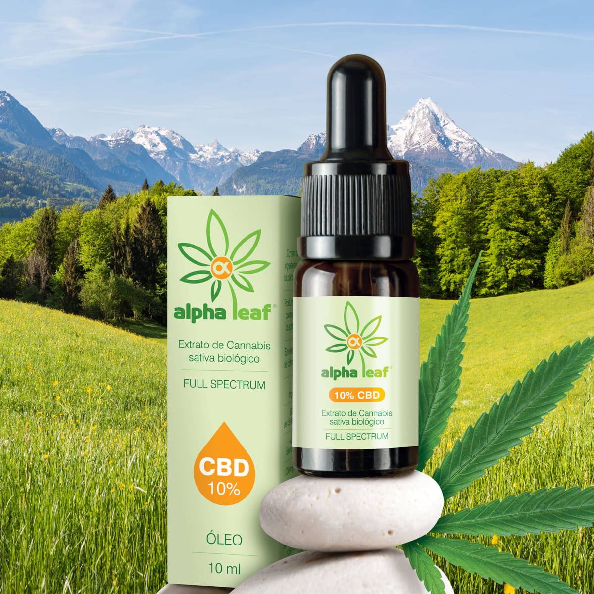 About us – Alpha Leaf