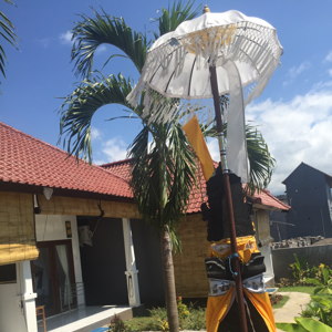 Guest Hub - The Shooting Star Homestay