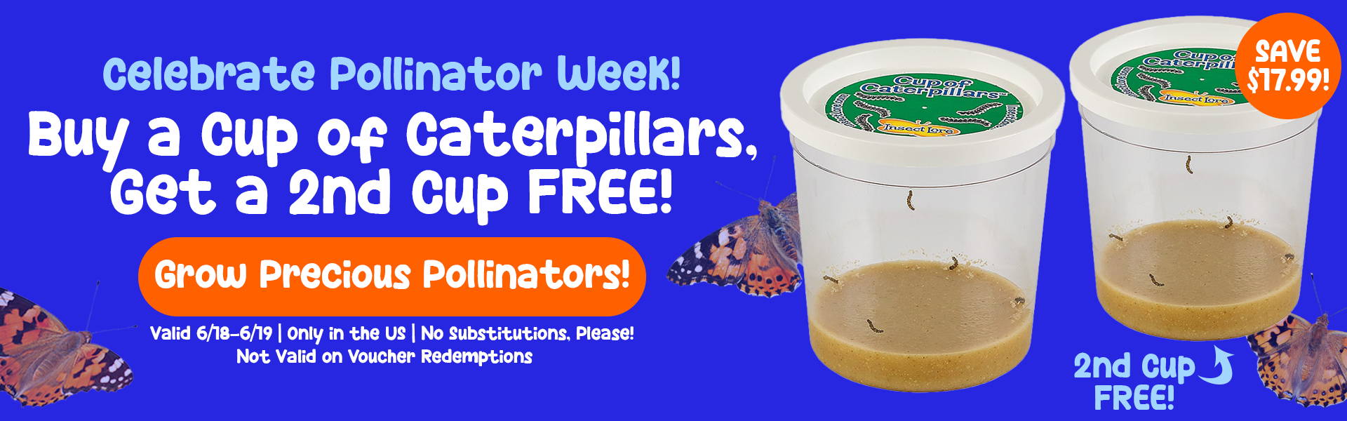 Insect Lore | The World's First Butterfly-By-Mail Company