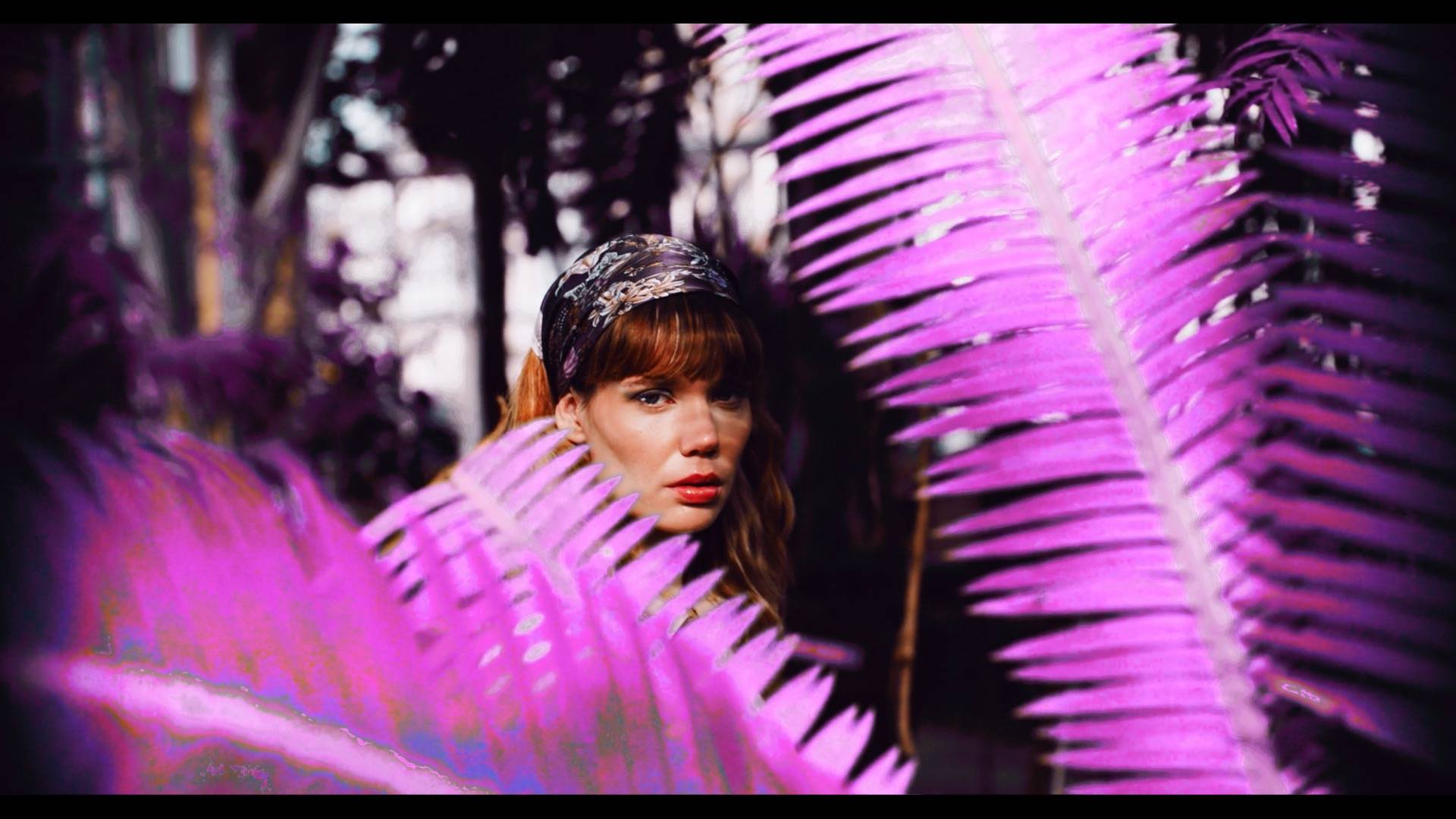 "YAMBORGHINI HIGH" Music Video LUTS – CREATOR FX