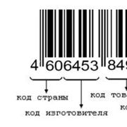 Оператор switch — Шаг 3 — Stepik