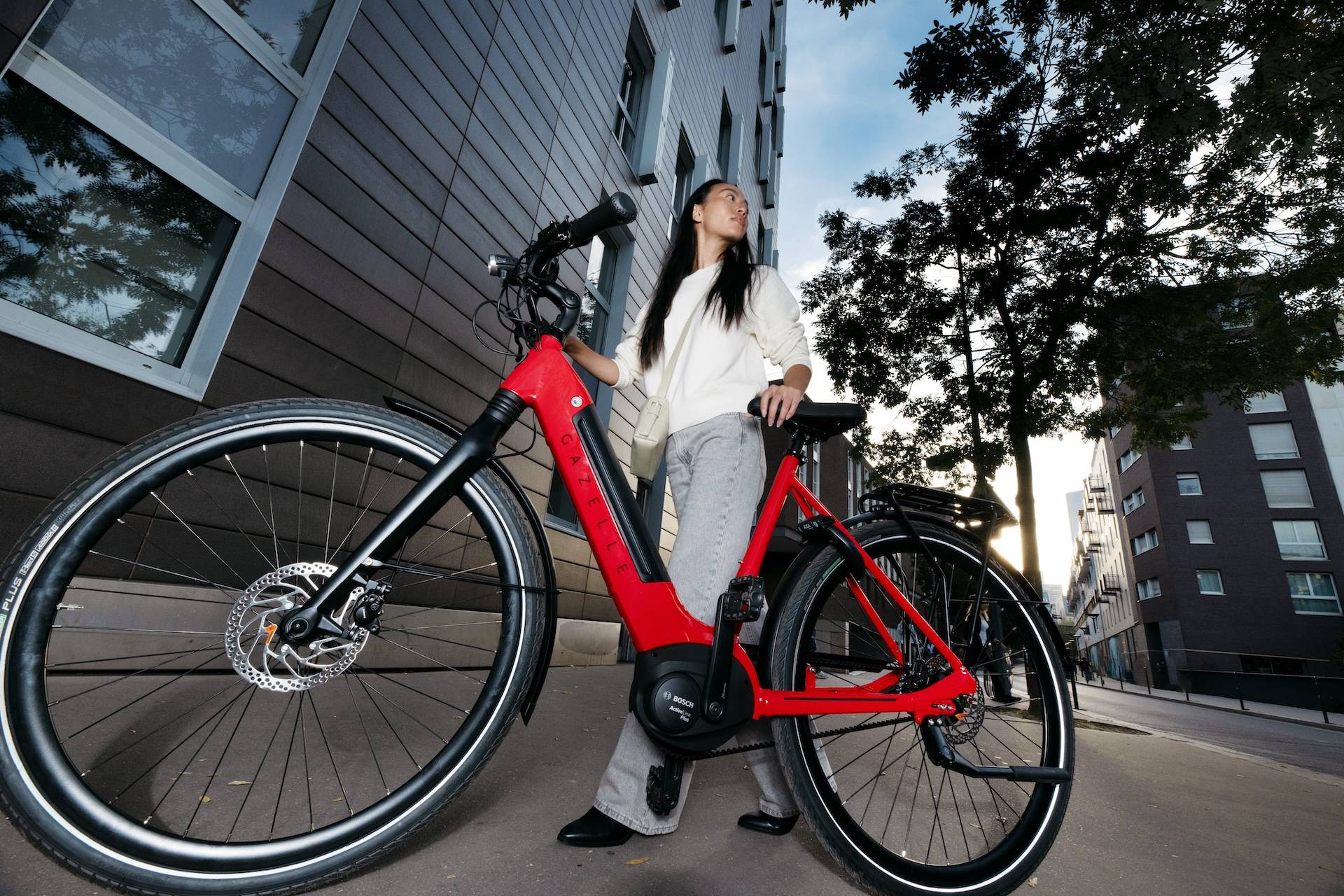 Van eigen bodem: de beste Nederlandse e-bike merken | Upway