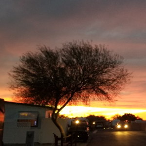 Guest Hub - Western Sands RV Park