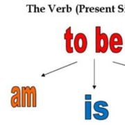 VIDEO MATERIAL — Шаг 1 — Stepik