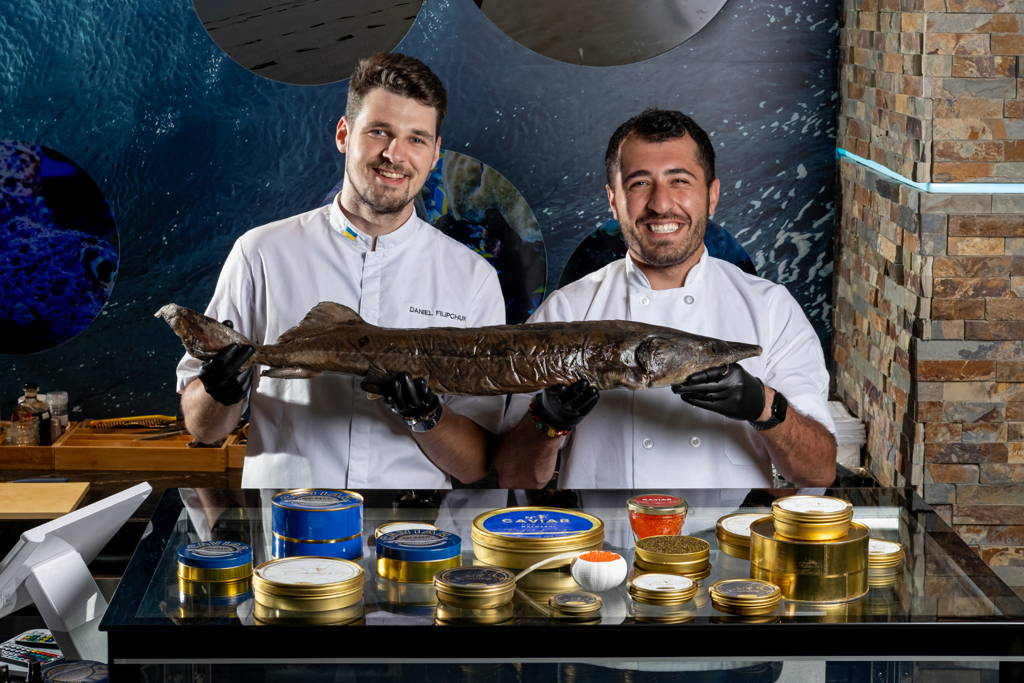 Our Story | Number One Caviar