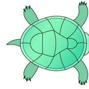 Модуль turtle 1 — Stepik