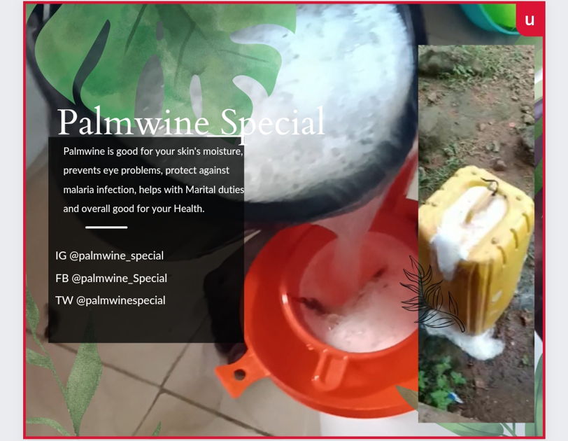 Palmwine Special