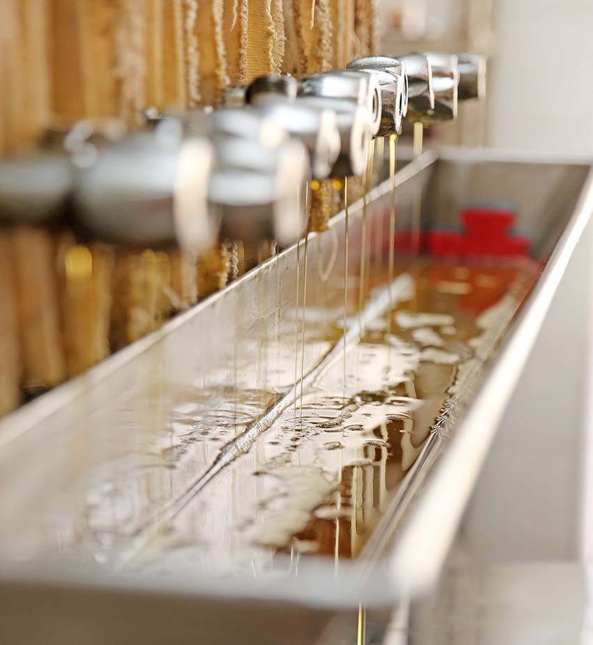 fresh Mediterranean beauty products for simply glowing skin – Katari Beauty