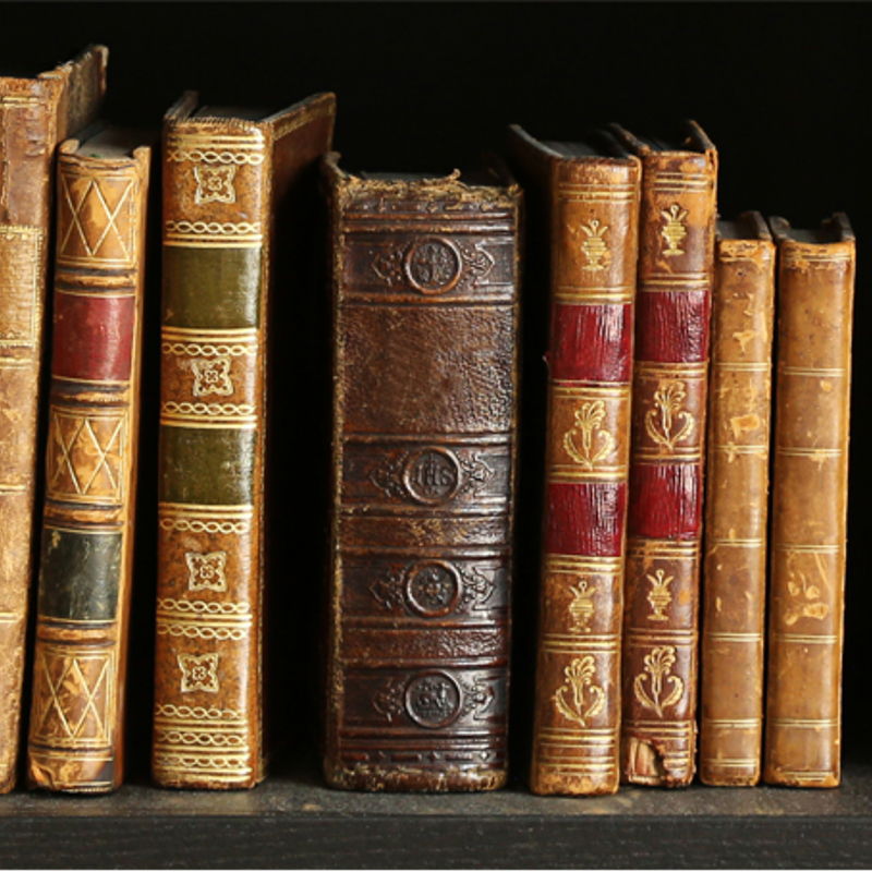 Ash Patterns | WOODlife Flooring