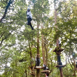 Raven Tree Top Adventure