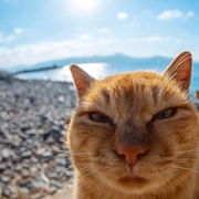 16 - 26 — Шаг 2 — Stepik