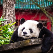 Конспект второго урока — Шаг 10 — Stepik