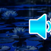 Аудирование — Шаг 14 — Stepik