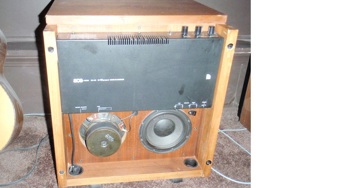 Audio Pro B2-50 Musical Sub For Sale | Audiogon