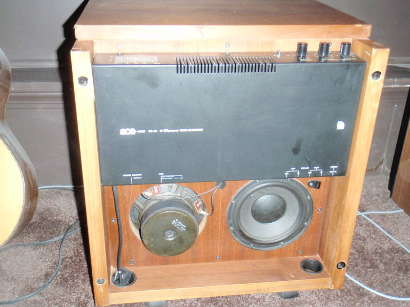 Audio Pro B2-50 Musical Sub For Sale | Audiogon