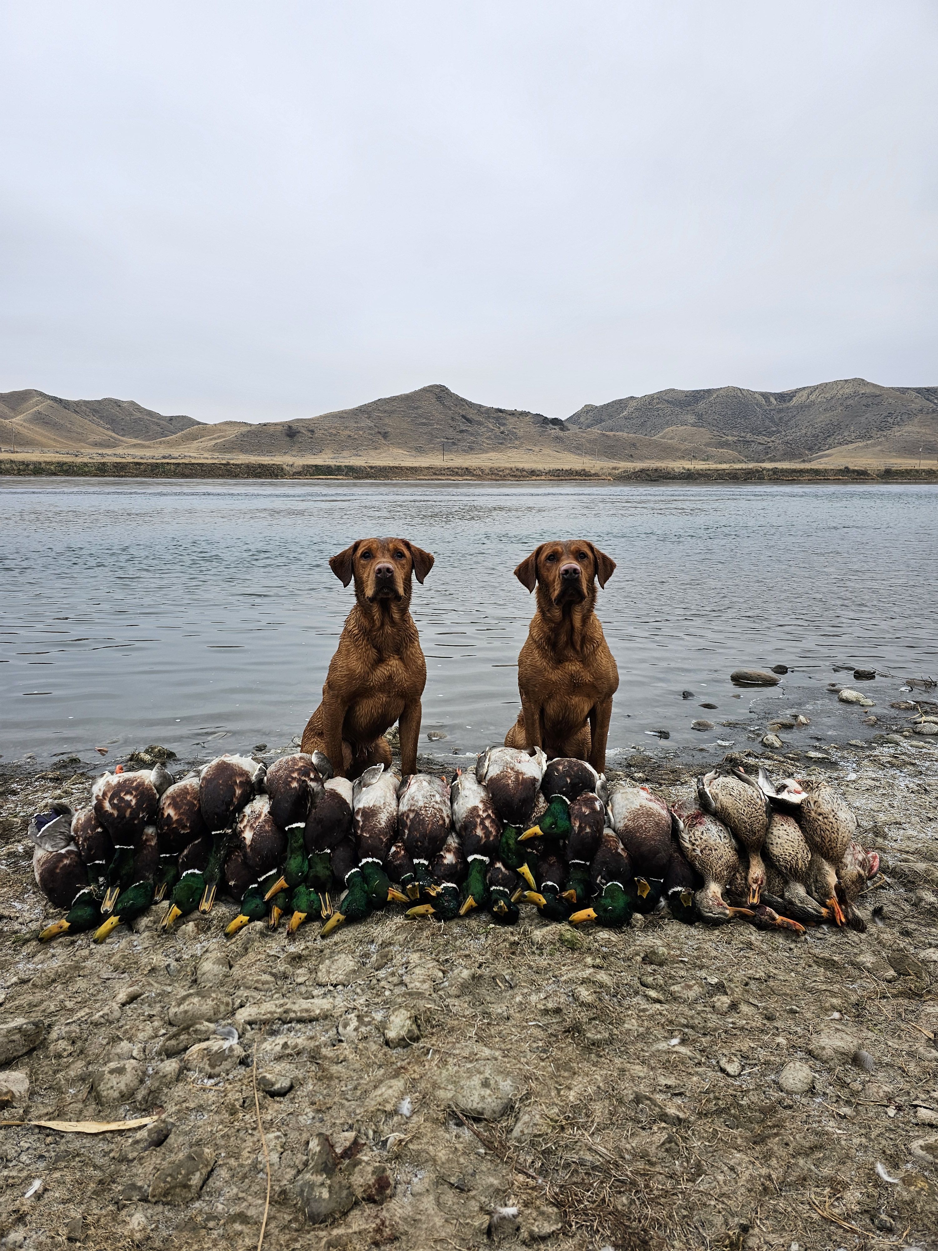 Broken Plains Outfitting Company - Book Your Trip - Mallard Bay