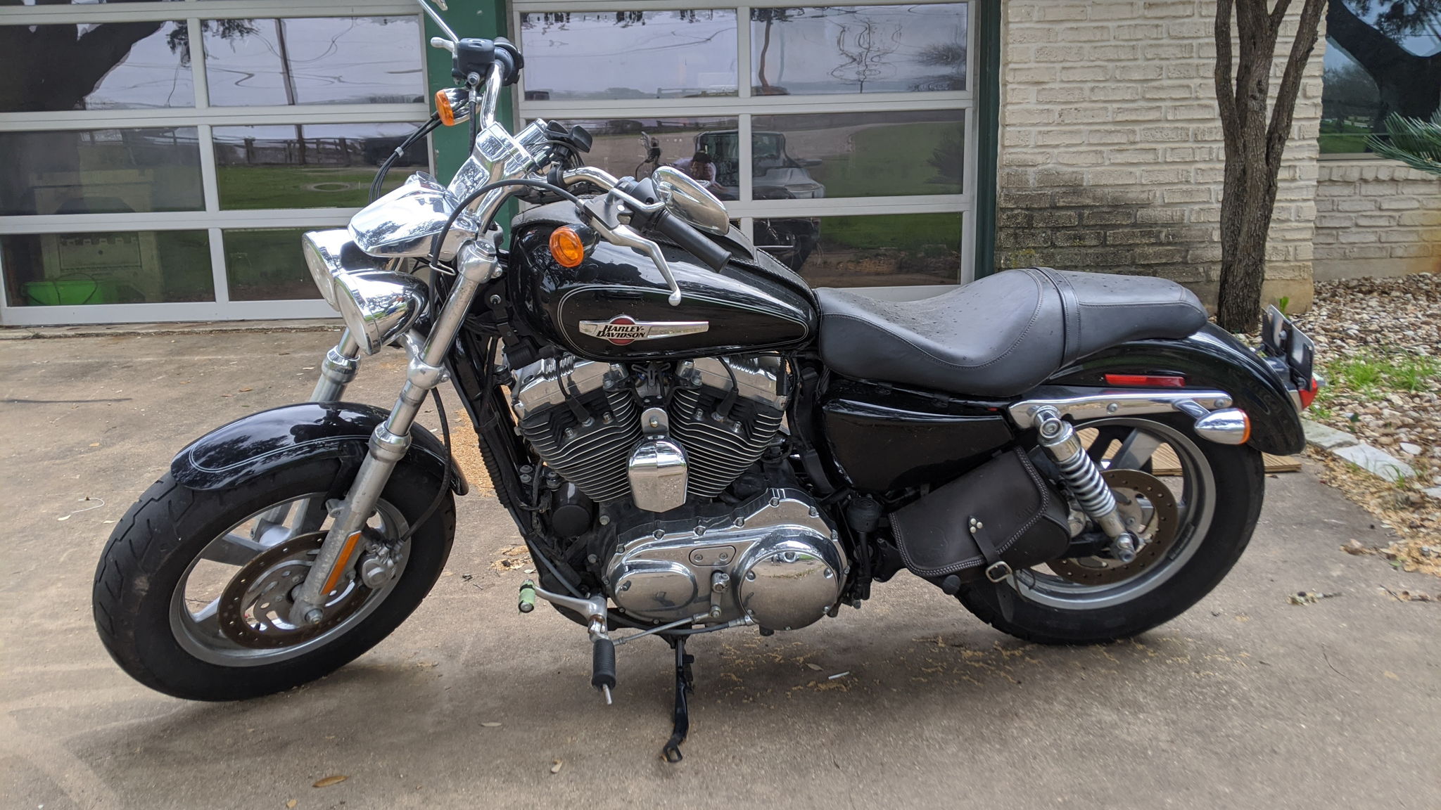 HARLEY-DAVIDSON XL1200C CUSTOM (TWO TONE) for rent near Austin, TX ...