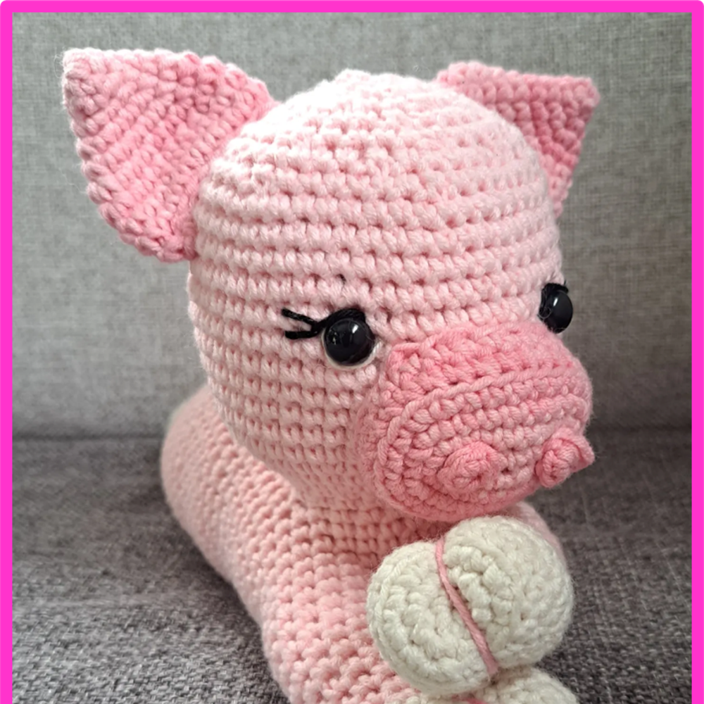 Rose the little pig