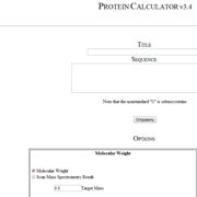 Веб-сайт «PROTEIN CALCULATOR» — Шаг 1 — Stepik