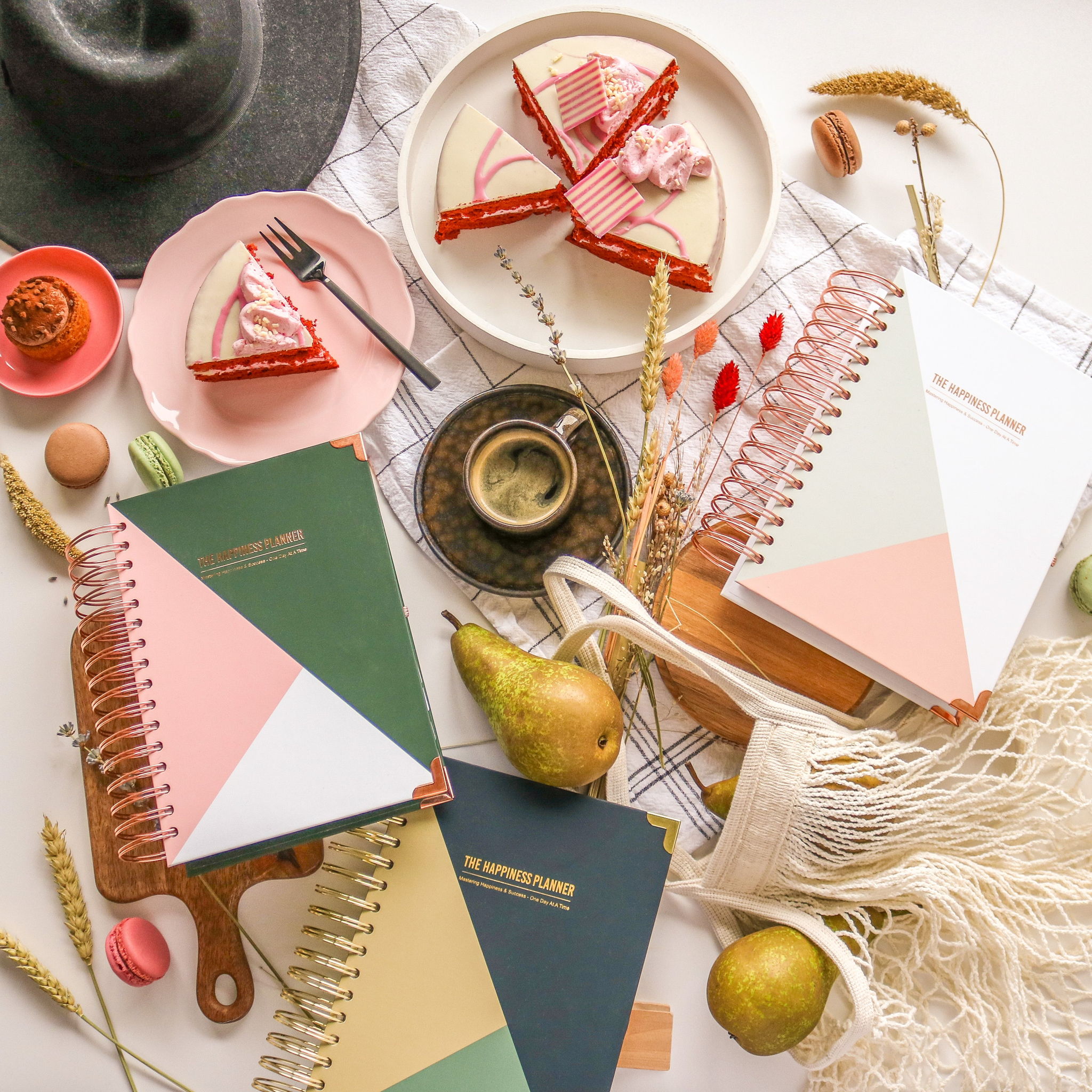 The Happiness Planner® 2021 vs 2021 Affirmations Diary - Slant