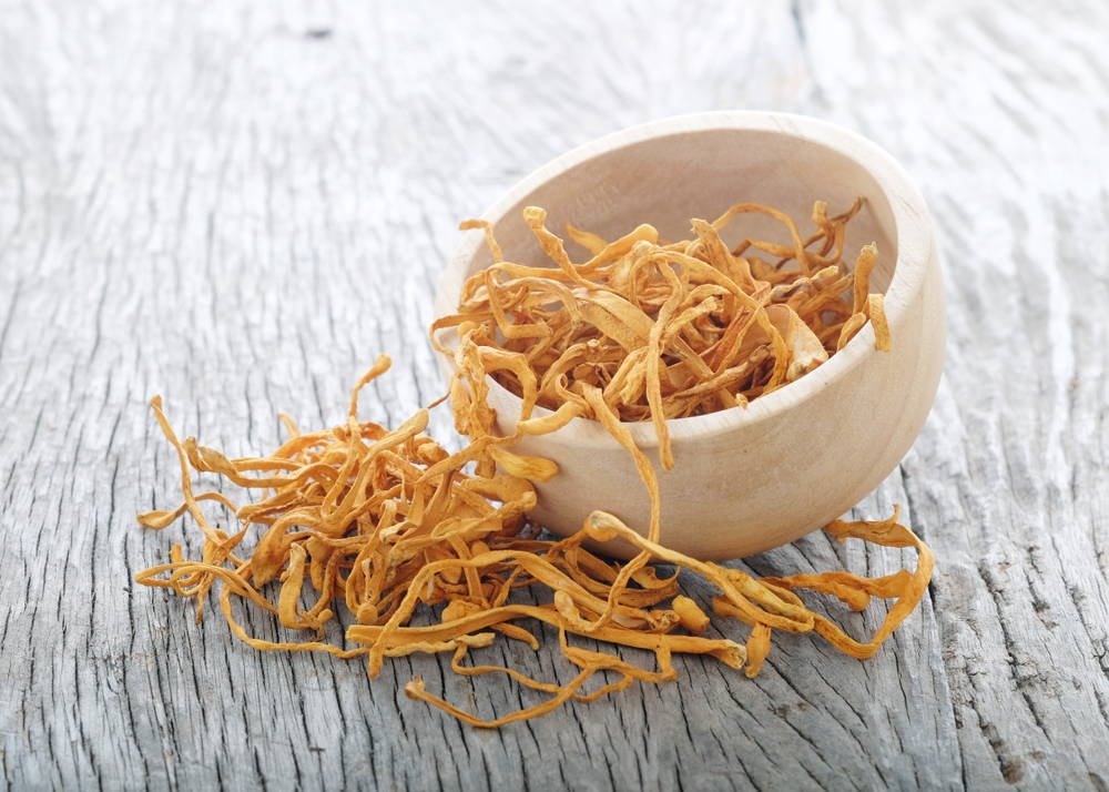 RYZE | Superfood Mushrooms for Focus, Energy, & Immunity Support
