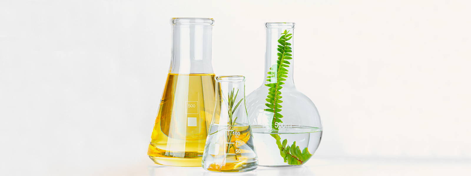 Méthodes d'extraction et cosmétiques