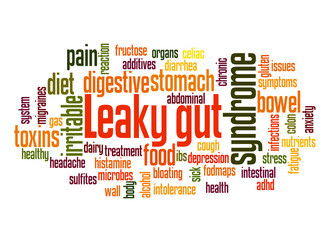 Leaky Gut Diet Plan - Dr. Michael Ruscio, BCDNM, DC