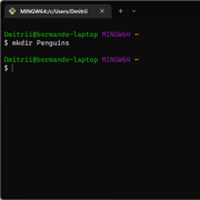 Создание директории — Шаг 1 — Stepik