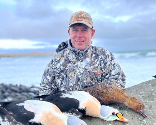 king eider duck hunting alaska