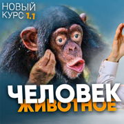 Человек- существо биосоциальное — Шаг 12 — Stepik