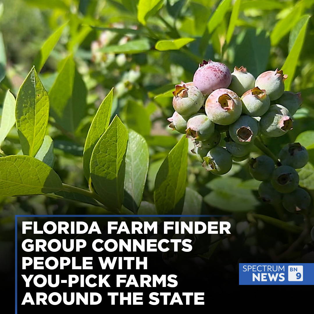 Find Local Foods | Strengthen Local Agriculture | Florida Farm Finder