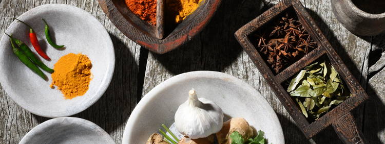 Indigo Asian Inspired Art Exhibition 2023 | Indigo Antiques