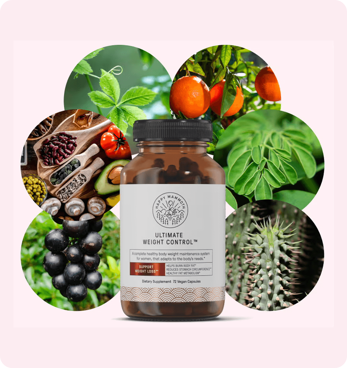 Discover the Silence Weight Control – Happy Mammoth