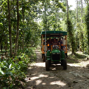Guest Hub - Belize Spice Farm & Botanical Garden