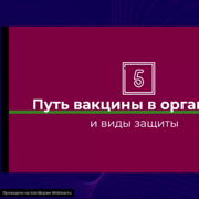 Путь вакцины в организме и виды защиты — Шаг 1 — Stepik