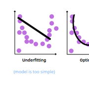 Регуляризация: LASSO, RIDGE, etc. — Шаг 1 — Stepik
