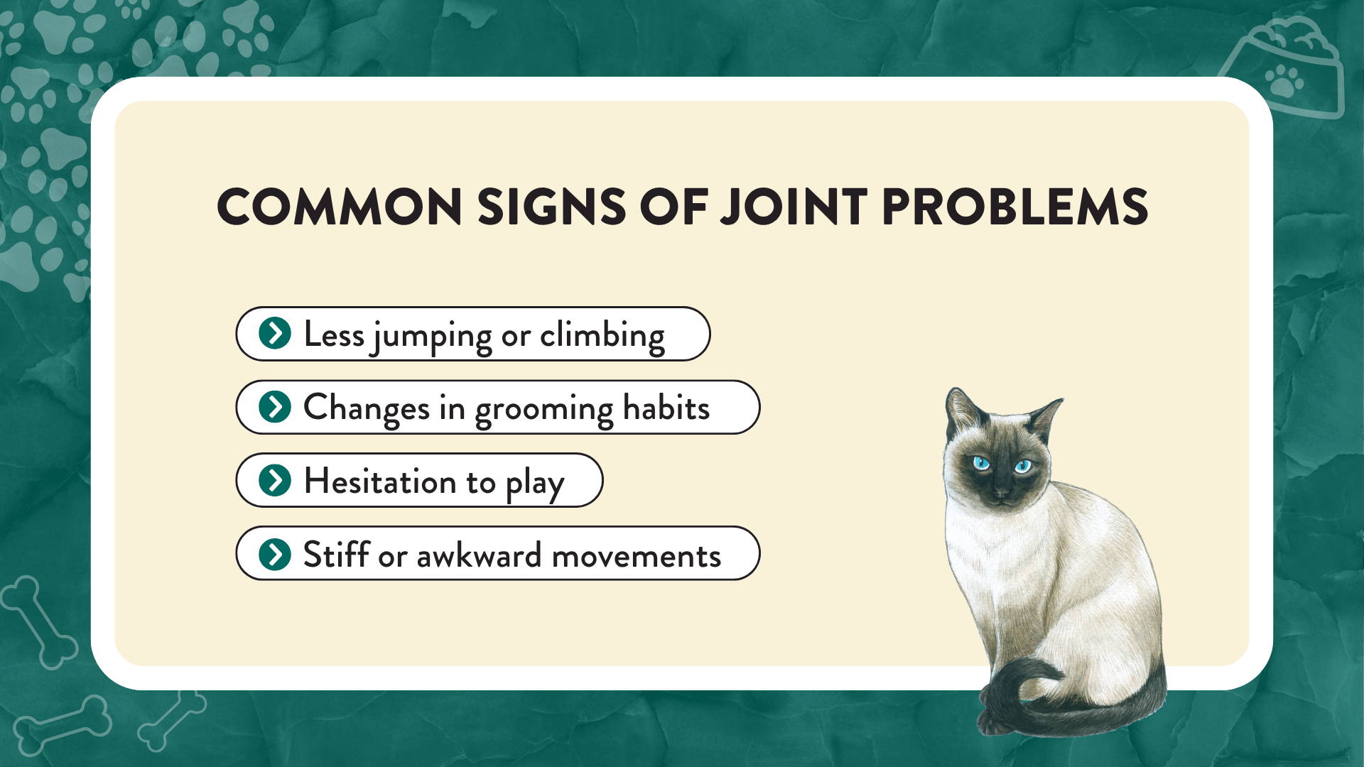 Healthy Joints for Dogs and Cats – Addiction NZ
