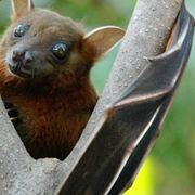 Getting to Know 'To Be': Who Am I? — Stepik