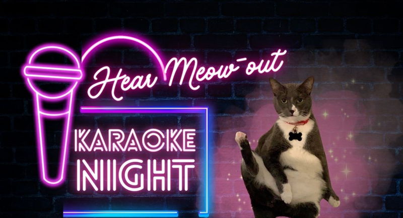 Hear meow-out Karaoke with DJ Allee Cat | Dec 8 | Gambit Weekly