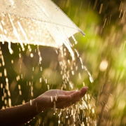 Present Simple or Present Continuous — Шаг 1 — Stepik