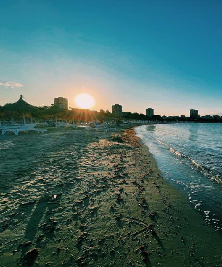 Abigail Project Staff - Youth With A Mission — Youth With A Mission