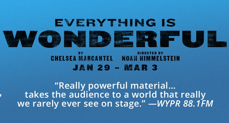Everything is Wonderful | Jan 29 | Washington Post