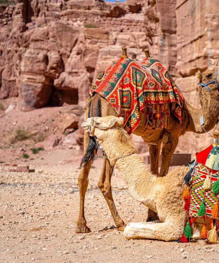 School Staff (DTS), (TIS) - Youth With A Mission — Youth With A Mission