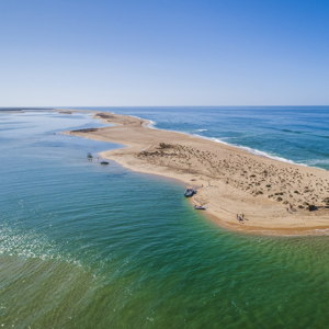 Ria Formosa Boat Tours