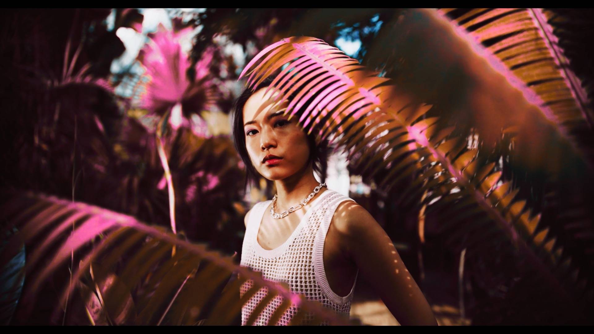 "YAMBORGHINI HIGH" Music Video LUTS – CREATOR FX